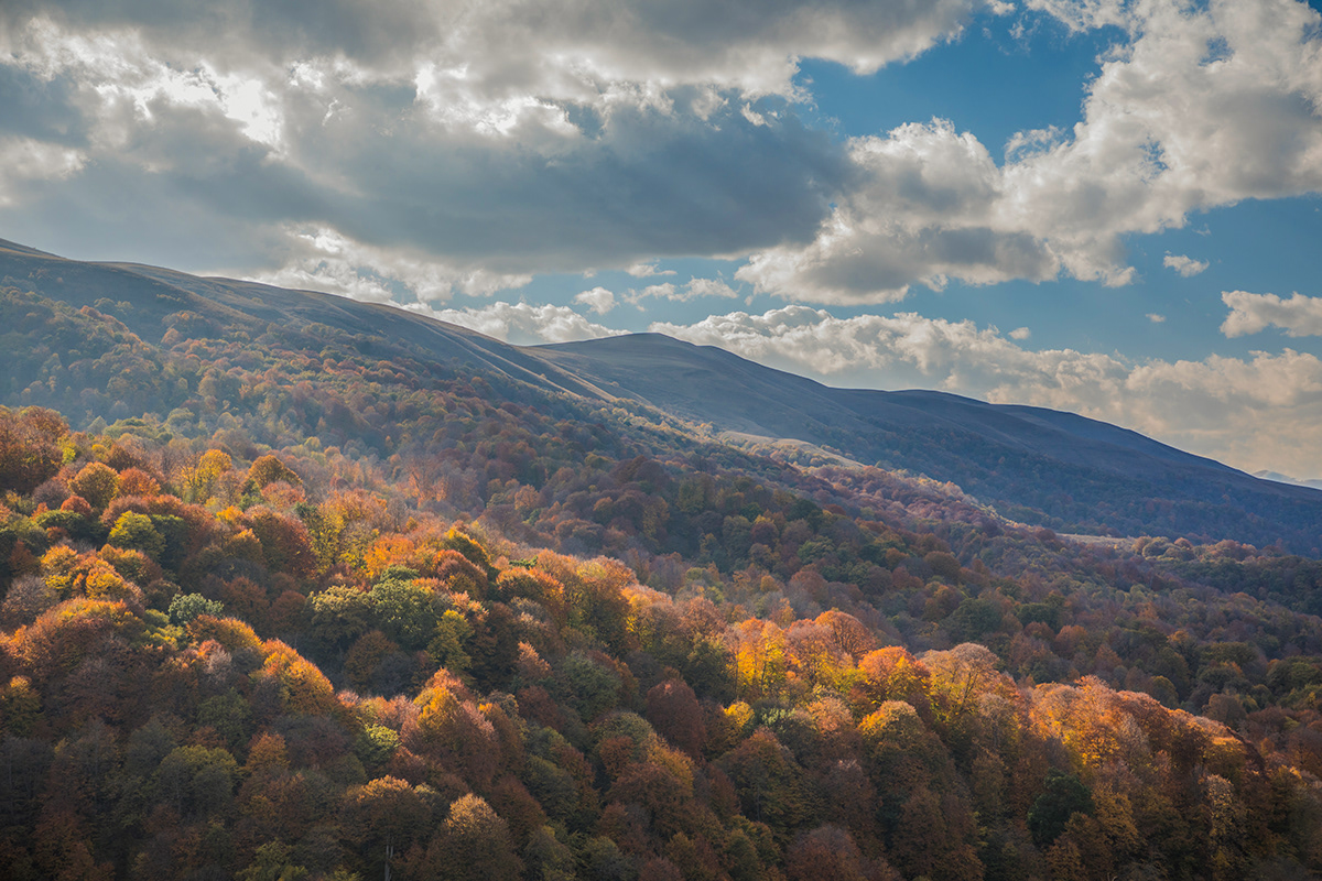 Tour Packages for Andaman Islands | White Sand Andaman